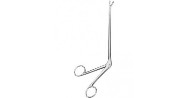 Oldberg Rongeurs Laminectomy
