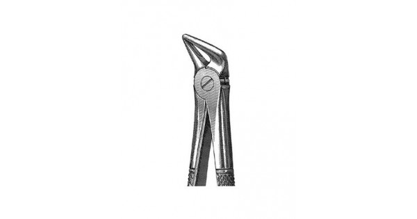 English Pattern Extraction Forcep